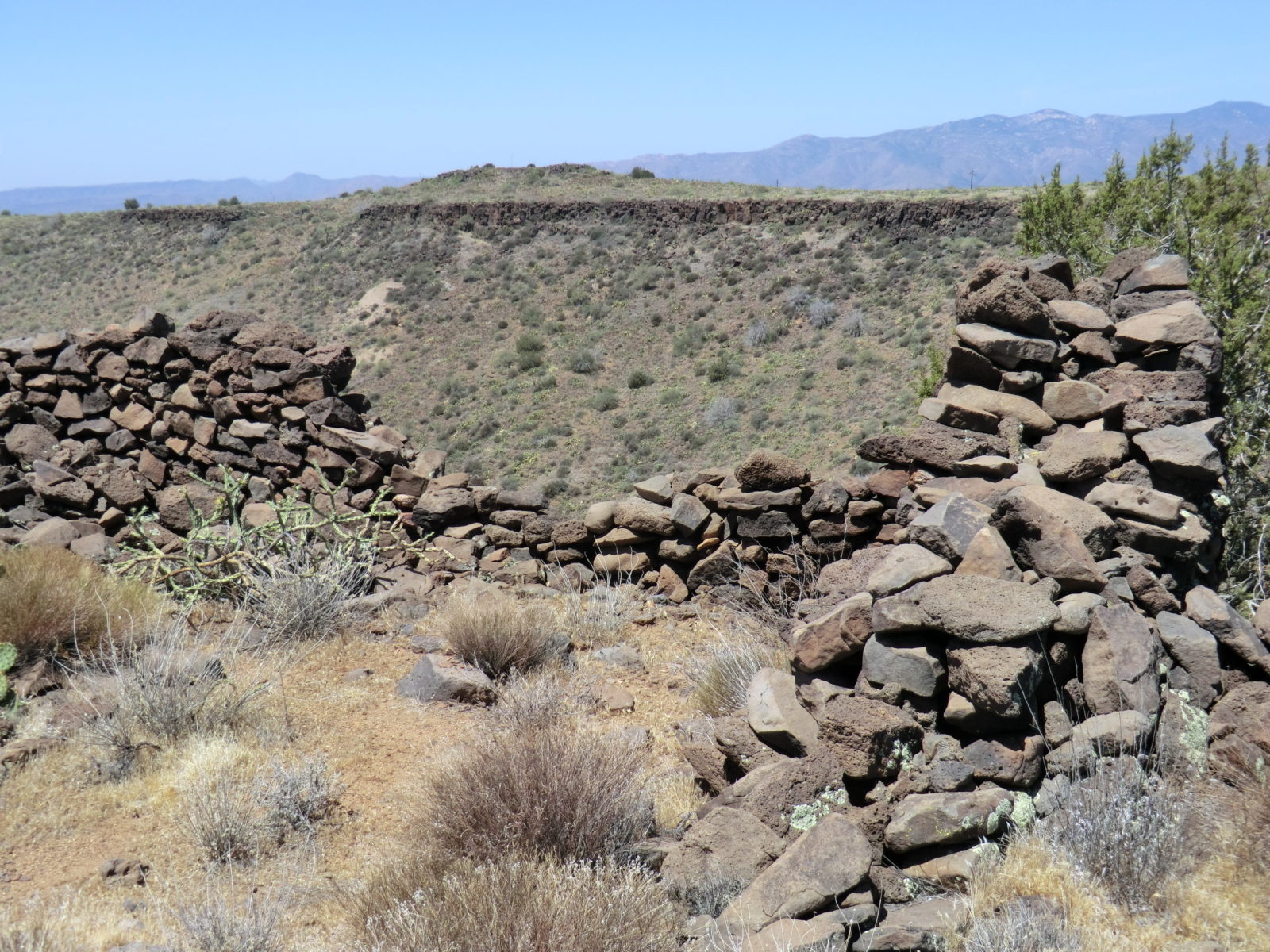Projects - Friends of the Tonto National Forest