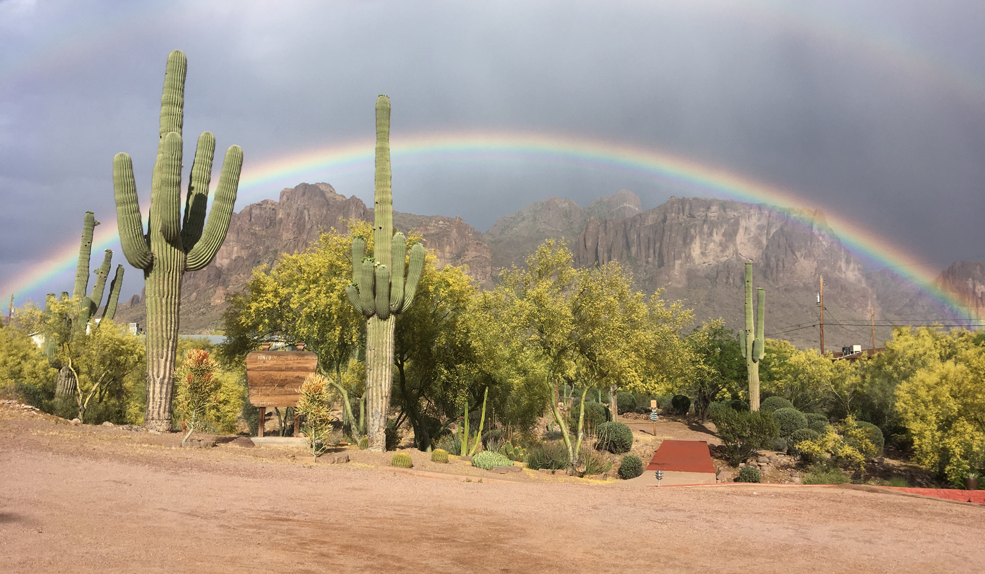 Friends of the Tonto National Forest Volunteer on the Tonto!