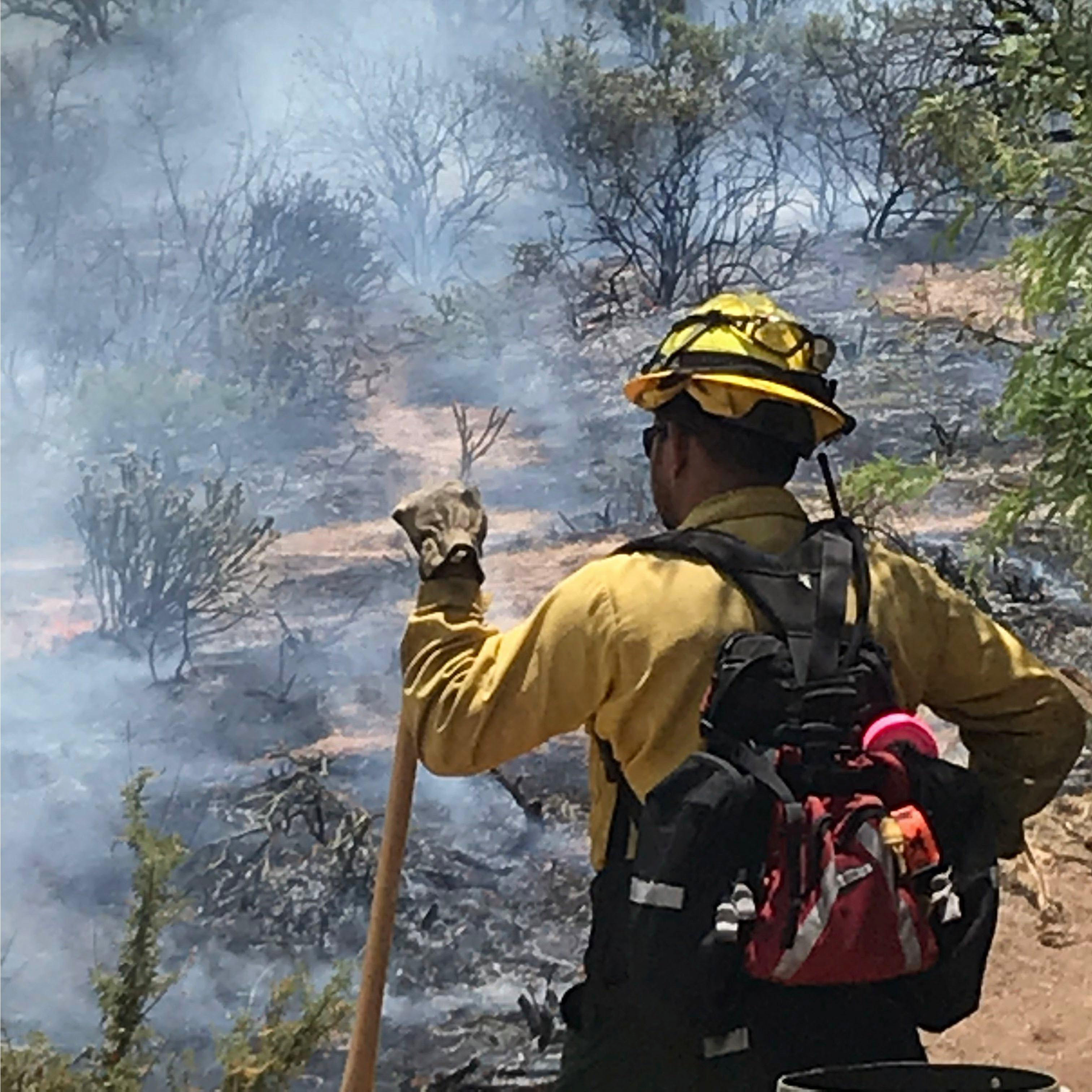 Threats to the Sonoran Desert - Friends of the Tonto National Forest