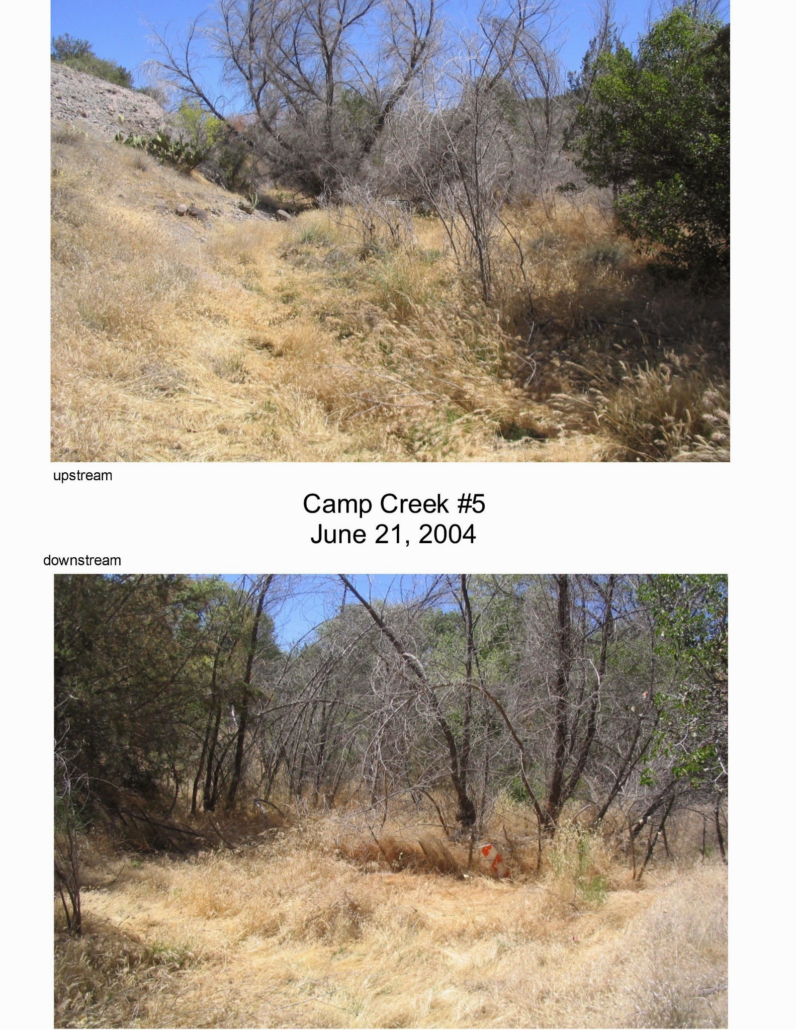 Post Woodbury Fire Monitoring - Friends of the Tonto National Forest