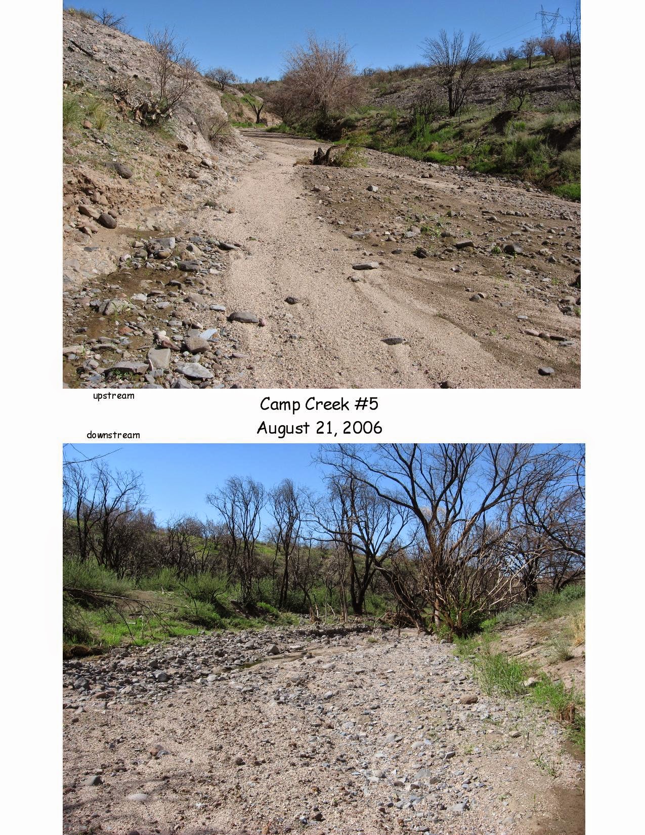 Post Woodbury Fire Monitoring - Friends of the Tonto National Forest