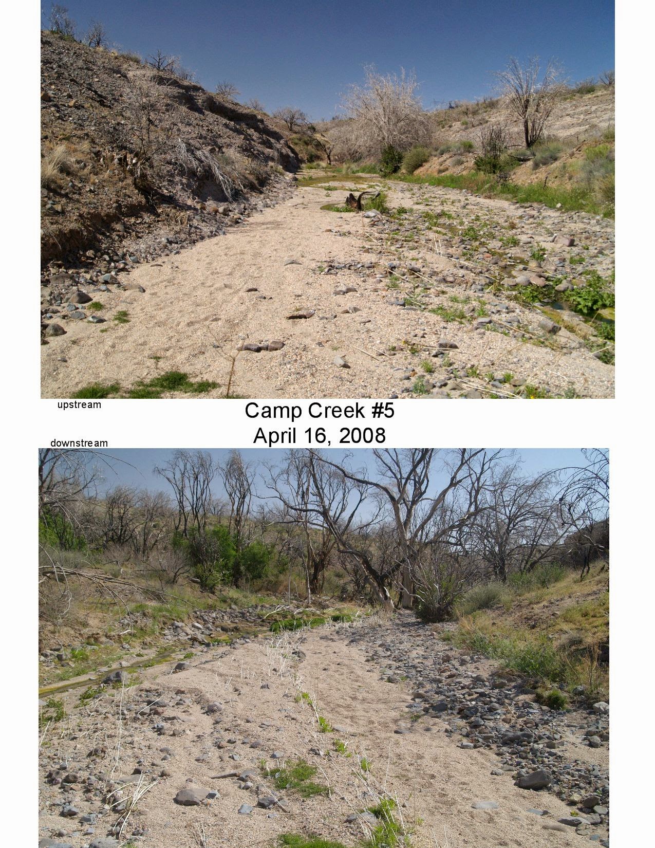 Post Woodbury Fire Monitoring - Friends of the Tonto National Forest