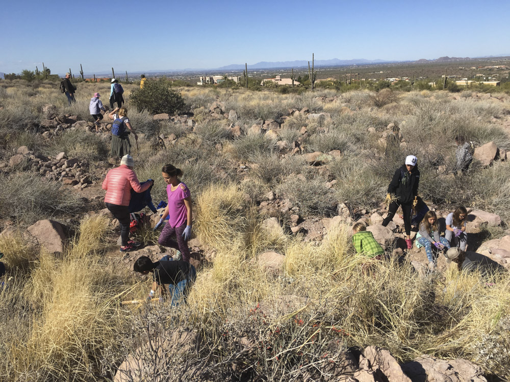 Support Friends of the Tonto - Friends of the Tonto National Forest